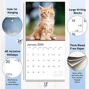 Kittens 2024 Hangable Wall Calendar - 12" x 24" Open - Cute Kitty Cat Photo Gift - Sturdy Thick Beautiful Kitten Photography - Large Full Page 16 Months for Organizing & Planning - Includes 2023