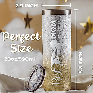 Onebttl King Charles Cavalier Gifts for Women, Unique 20oz Cavalier Tumbler with Lid and Straw, Cavalier King Charles Spaniel Gifts for Cavalier Lovers - Silver Gold