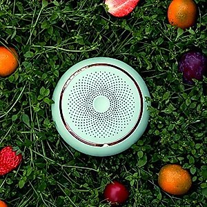LOMNH Refrigerator Deodorizer, Ozone Odor Remove, Portable Mini Refrigerator deodorizer effectively remove odor in the refrigerator