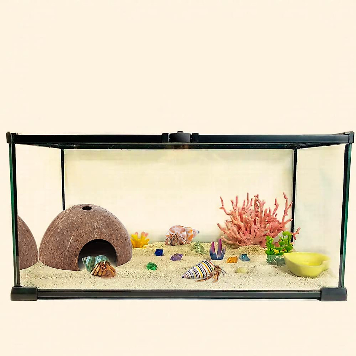 DQITJ 3 Pack Hermit Crab Hideout, Natural Coconut Shells Hut for Spider Hermit Crab Gecko Turtle Small Reptile Fish Tank Aquarium