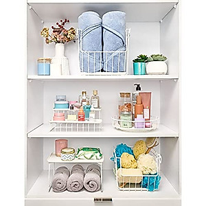 iDesign RPP Wire Medium Potato Storage Bin, Coconut