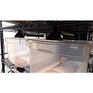 Carolina Custom Cages Reptile GU10 Halogen Dome Fixture with 54" AC Cord and Switch