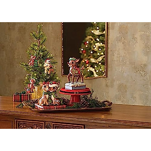 Enesco Jim Shore Rudolph The Red-Nosed Reindeer with Christmas Tree Hanging Ornament, 3.74 Inch, Multicolor