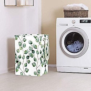 MAPOLO Laundry Basket Eucalyptus Leaves Pattern Foldable Laundry Hamper with Handles Detachable Brackets Well-Holding Waterproof for Clothes Toys Organization in Laundry Room Bedroom Bathroom