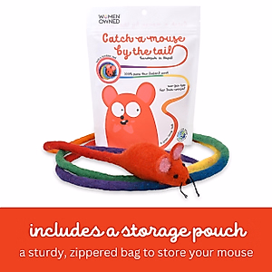 Catch a Mouse by The Tail Wool Cat Mouse Toy with a 6-Ft Tail for Indoor Cats Kittens. Cute Toy Mouse, Mouse Cat Toy, Rat Plush Toy, Fake Mice. No Catnip. Pride (Rainbow)
