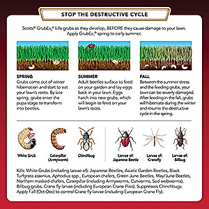 Scotts GrubEx1 Season Long Grub Killer, Protects Lawns Up to 4 Months, 5,000 sq. ft., 14.35 lbs.