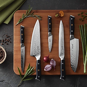 Sasaki Takumi Japanese AUS-10 Stainless Steel Chef Knife with Locking Sheath, 8-Inch, Black