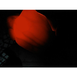 OTICA Pediatric LED O Shape Vein Finder