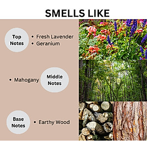 Scented Candles Gift for Men - Mahogany Teakwood Candles | Aromatherapy | Mahogany Teakwood candles for home scented | Birthday/Anniversary Gifts for Him | 8 oz jar | Dplus Candles | Made In the USA