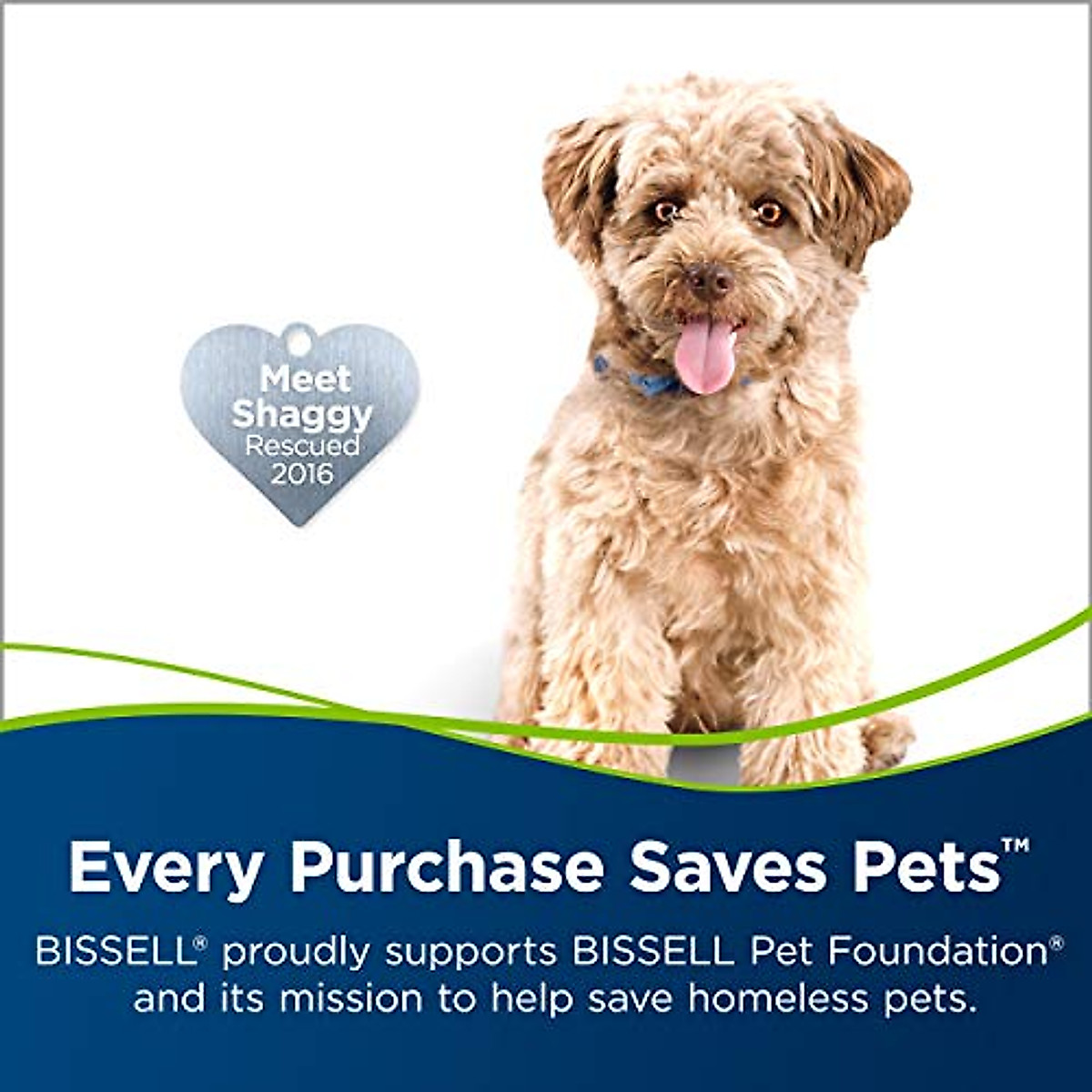 Bissell Turboclean Powerbrush Pet Upright Carpet Cleaner Machine and Carpet Shampooer, 2085