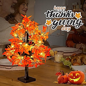 [ 2 Pack & Timer ] 24 Inch Lighted Maple Tree Fall Decorations with 48 LEDs Timer Battery Operated Artificial Autumn Tabletop Tree for Thanksgiving Harvest Indoor Home Decor