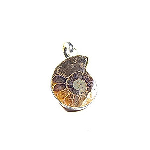 XUETZALCOATL Beautiful Shaligram Locket Crystal Energized 1 Pcs