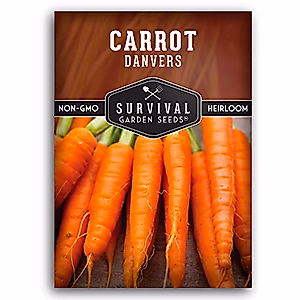 Survival Garden Seeds - Danvers Carrot Seed for Planting - Packet with Instructions to Plant and Grow Long Storing Deep Orange Carrots in Your Home Vegetable Garden - Non-GMO Heirloom Variety