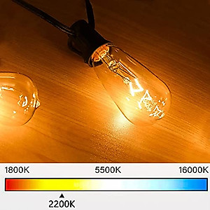 Pallerina Outdoor Edison String Lights 20Ft with 22 Edison Bulbs, Vintage Bistro Lights ST40 Patio String Lights for Garden Backyard Party Wedding Umbrella, E17 Base 7 Watt Bulbs- Brown Wire
