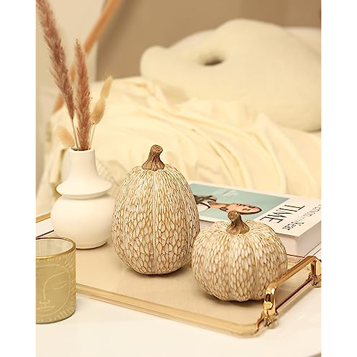 DN DECONATION Thanksgiving Resin Pumpkin Statue, Brown and White Pumpkin Figurine, Faux Decorative Pumpkins for Table Centerpiece, Countryside Autumn Fall, Set of 2, Gift