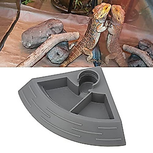 Pssopp Reptile Feeder and Waterer Automatic refilling Reptile Water Dispenser Tortoise Feeding Dish for Reptiles