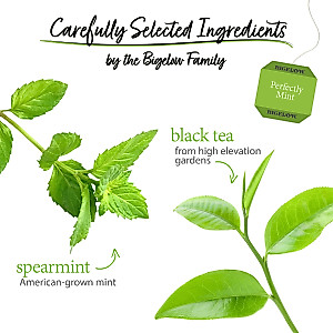 Bigelow Perfectly Mint Black Tea, Caffeinated, 20 Count (Pack of 6), 120 Total Tea Bags