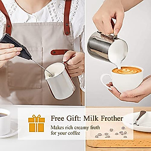 BAYKA French Press Coffee Tea Maker 34oz, 304 Stainless Steel Insulated Coffee Press with 4 Filter Screens, Milk Frother, Rust-Free, Dishwasher Safe, Silver