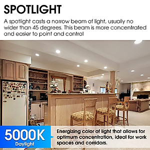 Energetic 1250LM Outdoor Par38 Led Flood Light Bulb,13.5W=100W,Dimmable, 5000K Daylight,E26 Base, Waterproof Led Spotlight Bulb, UL Listed (6 Pack)