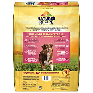 Nature′s Recipe Grain Free Salmon, Sweet Potato & Pumpkin Recipe Dry Dog Food, 34 lb. Bag