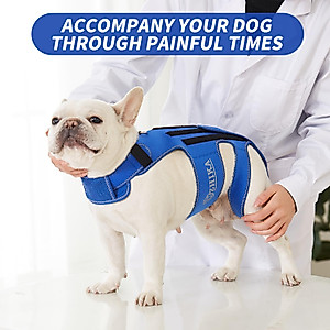 Uzhika Dog Back Brace for IVDD Dogs Arthritis, Spinal Injury, Back Protector Pain Relief, Spinal Surgical Recovery and Rehabilitation - Pet Back Bracer (X-Small)