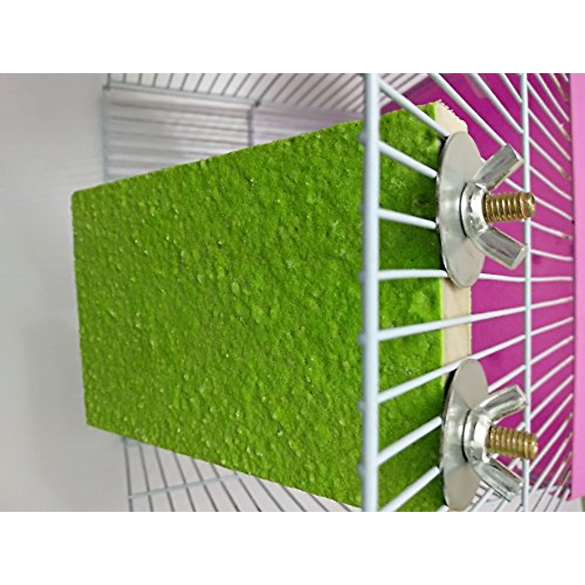 Hypeety Colorful Bird Perch Stand Platform for Parrot Macaw African Greys Budgies Parakeet Cockatiels Natural Wood Paw Grinding Clean Cage Toy (Random Color)(B)