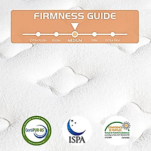 Hohamn Euro Top 12 Inch Memory Foam Hybird Individually Wrapped Pocket Spring Mattress in a Box (Twin)