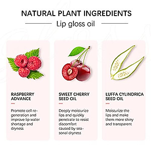 Sea-Maid Plumping Lip Oil, Hydrating Gloss Tinted Lip Balm Transparent Lip Care, Big Brush Head Glitter Shine, Long Lasting Nourishing Non-sticky Fresh Texture