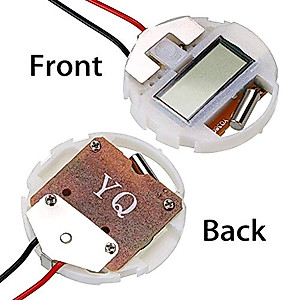 Skelang Fruit Battery Science Experiment Kit with Electronic Clock for DIY Home Teaching Toy , School Science Project, Education Subject