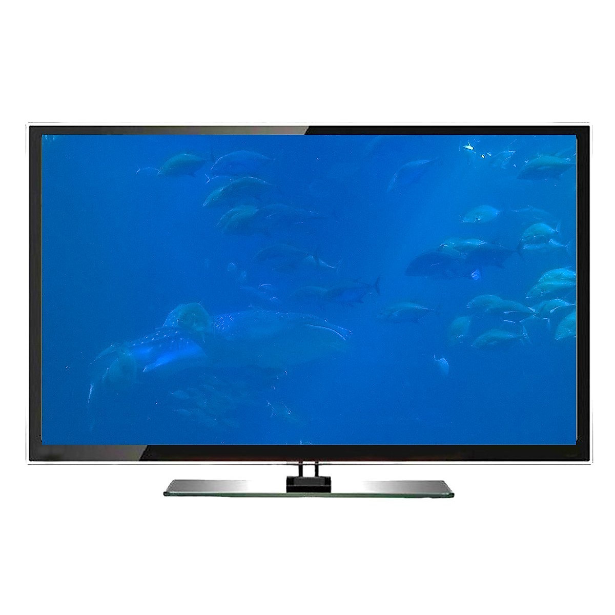 Underwater DVD - Ocean Dreaming - Relaxing Scenes of Corals and Tropical Fishes