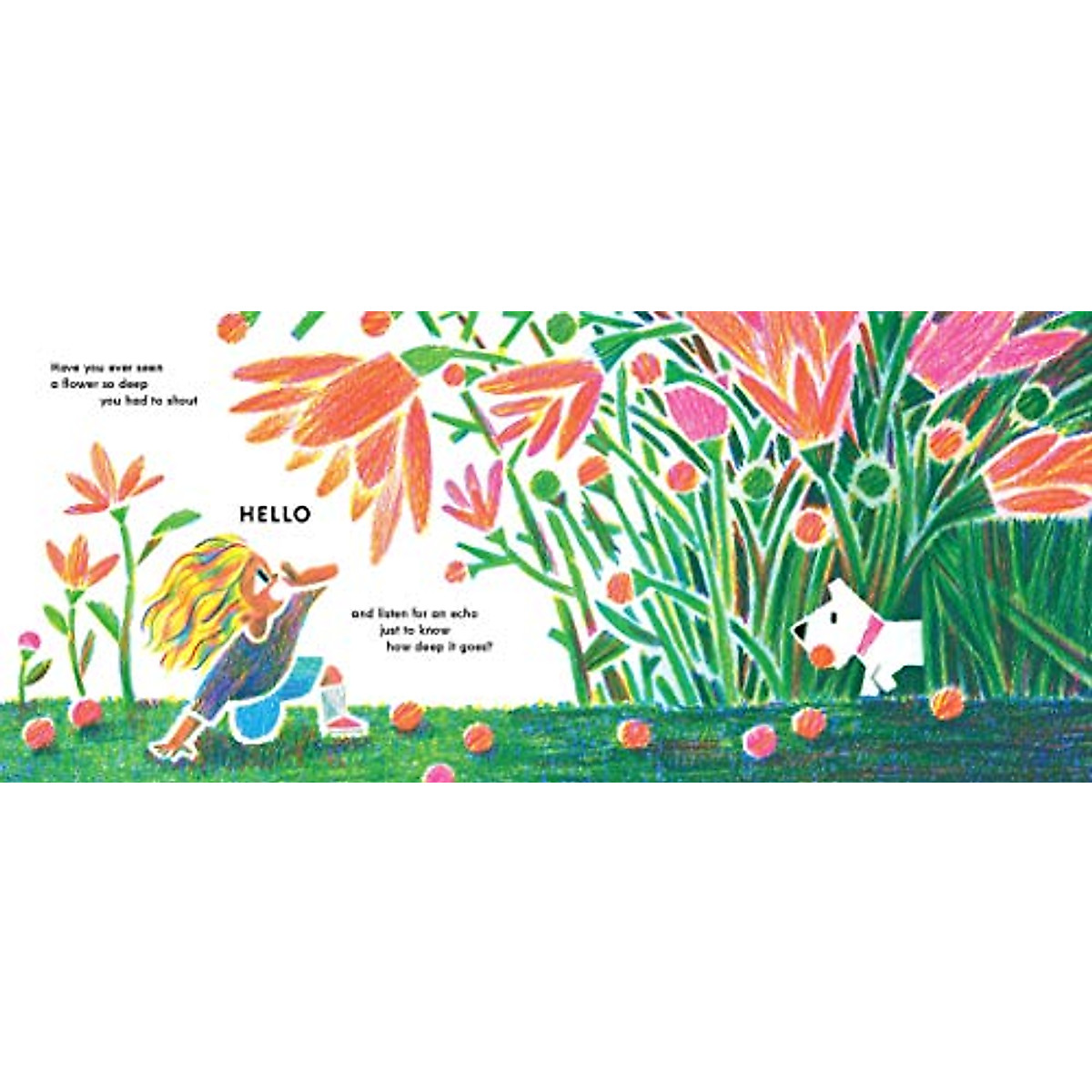 Have You Ever Seen a Flower?