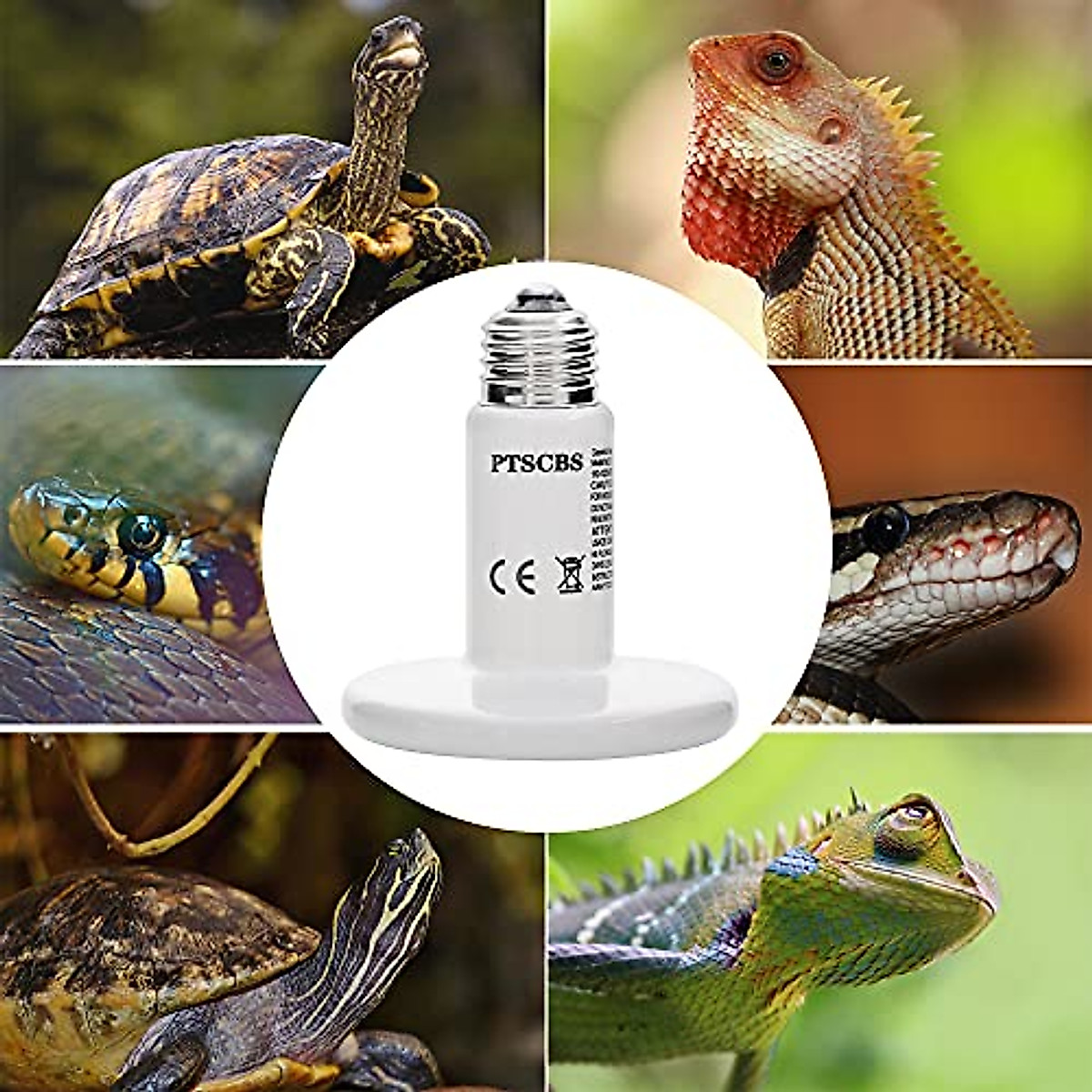 60W 2PCS PTSCBS Reptile Heat Lamp Bulb Ceramic Heat Emitter No Harm No Light Infrared Heater Lamp for Chicken Coop Lizard Aquarium Snake Outside Dogs Brooder 120V,White