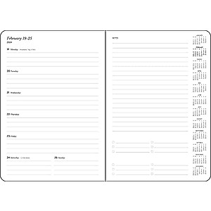 Disney Dreams Collection by Thomas Kinkade Studios 12-Month 2024 Monthly/Weekly: Moana