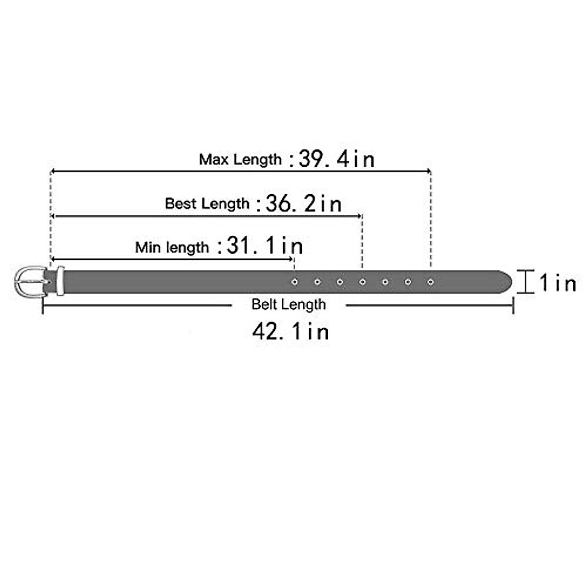 CLARA Women Vintage Western Waist Belt Double Buckle Belt PU Leather Waistband for Jeans Dress (Brown)