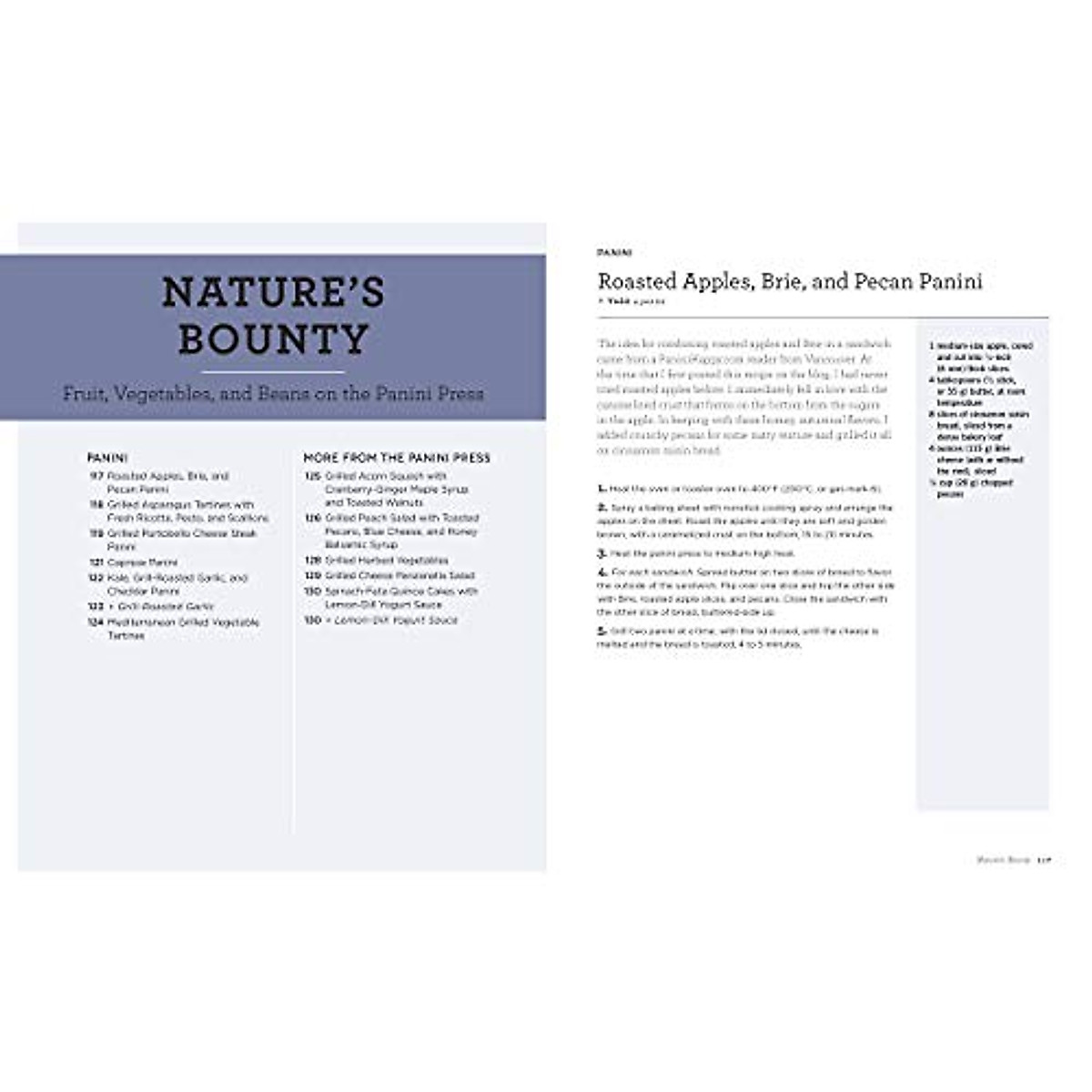 The Best of the Best Panini Press Cookbook: 100 Surefire Recipes for Making Panini--and Many Other Things--on Your Panini Press or Other Countertop Grill