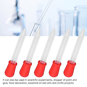 5Pcs Liquid Droppers, 5ml Silicone Material Easy Clean Making Disposable DIY Eye Dropper with Bulb Tip for Kids Candy (Red)