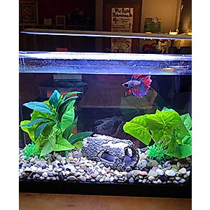 hygger Betta Log Resin Hollow Tree Trunk Ornament, Betta Fish Accessories, Aquarium Decorations Wood House Small and Medium Fish Tank Decor, with Holes for Small Fish Pets to Swim Through (Tree Trunk)