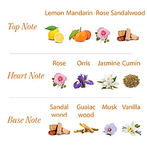 Yardley London Perfumed Talc Sandalwood 100g