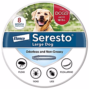 Seresto Large Dog Vet-Recommended Flea & Tick Treatment & Prevention Collar for Dogs Over 18 lbs. | 8 Months