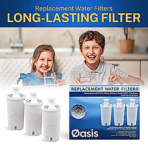 Oasis Replacement Water Filter 3 Pack3