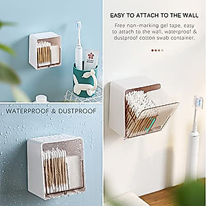 Leadiy Qtip Holder Cotton Pads Organizer, Cotton Ball Holder for Bathroom Canisters, Q Tip Storage Organizer with Clear Lid Bathroom Container Box 2 Sections Storage