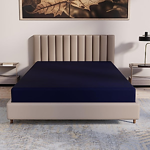 Wayton, 9-Inch Medium Firm Water-Resistance Foam Vinyl Mattress, Easy to Clean, Comfortable & Noise Free, Twin, Blue