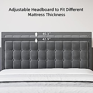 Assile Queen Size Upholstered Bed Frame, Button Tufted Velvet Platform Bed with Adjustable Headboard, Wood Slats, Noise-Free Design, No Box Spring Needed in Light Grey