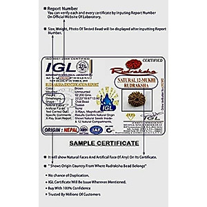 Vishaka Arts Natural 1 Mukhi Indonesian Rudraksha In Silver Case/One Mukhi Java Rudraksha In Silver Pendant 13mm-14mm IGL Certified