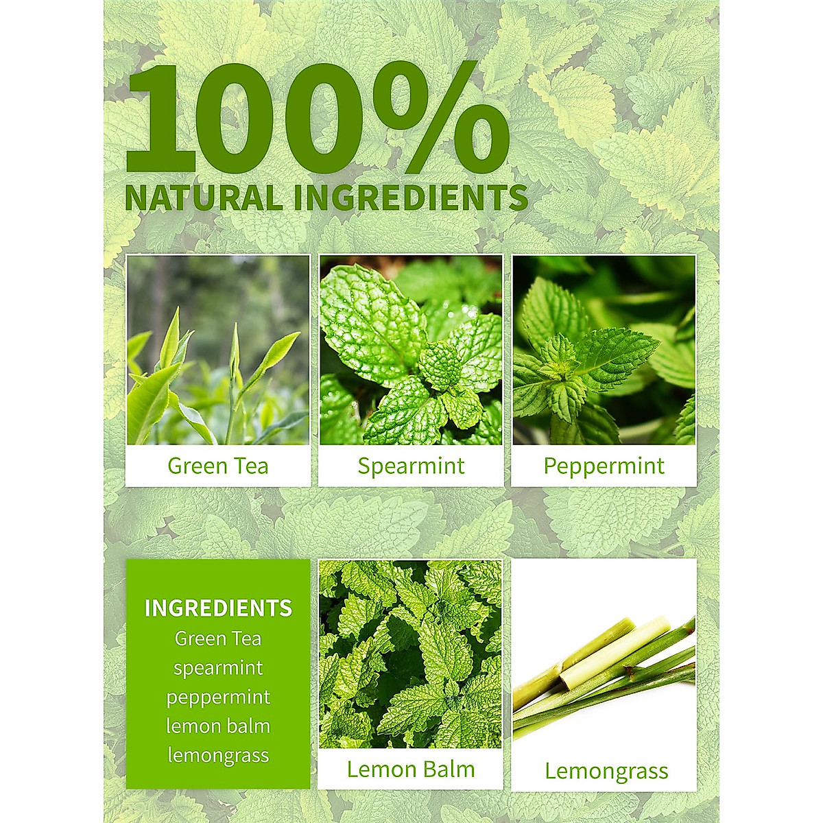 TeeLux Mint Iced Green Tea Bags, Green Tea with Peppermint, Spearmint, and Lemongrass, Family Size Refreshing Iced Tea, 30 Count