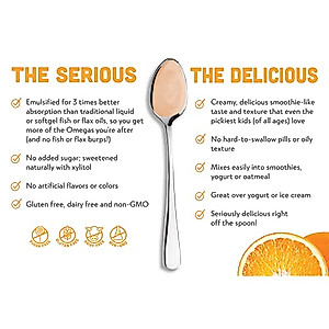 Barlean's Key Lime Pie High Potency Omega 3 Fish Oil Supplements - 1500mg of Omega 3 EPA/DHA for Brain, Heart, Joint, & Immune Health - All Natural Fruit Flavor, Non GMO, Gluten Free - 16-Ounce