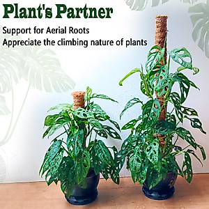 2 Pack 17 Inch Moss Pole, Stackable Moss Poles for Climbing Plants Monstera, Tall Plant Sticks Accessories, Large Coir Plant Support Stakes for Potted Plants Indoor, Pothos, Philodendron