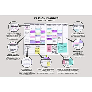 Passion Planner Weekly 2023 Annual Monday Goal-Oriented Weekly Agenda, Appointment Calendar, Reflection Journal Hardcover (Medium 6.9 x 9.8 in) (Rabbit Moonlight Rose Gold)