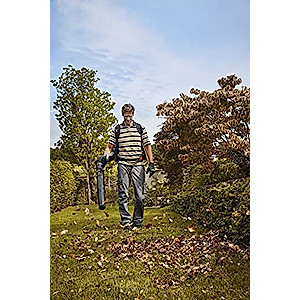 PROYAMA 77cc Backpack Leaf Blower Gas Powered 2-Cycle Leaf Blower Gas Backpack Blower, 880 CF