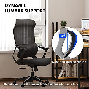 FLEXISPOT Comfy Office Chair Wide Seat Cushion Ergonomic Office Chair with Dynamic Adjustable Lumbar Support Big and Tall Office Desk Chair Comfy Chair for Home Office OC2 (Black)